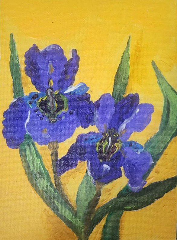 Cosumnes River Journal